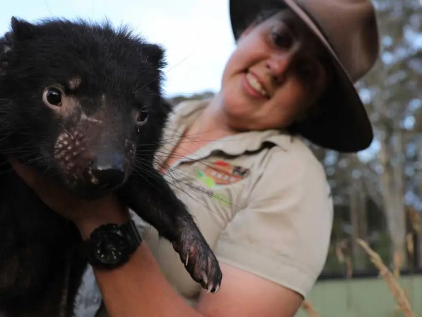 Aussie Ark Announce First Tasmanian Devil Joeys for 2023
