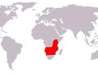 Impala | The Animal Facts