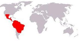 Ocelot | The Animal Facts